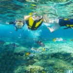 Cham Island Sightseeing & Snorkeling Day Tour from Da Nang - Snorkeling Among the Reefs
