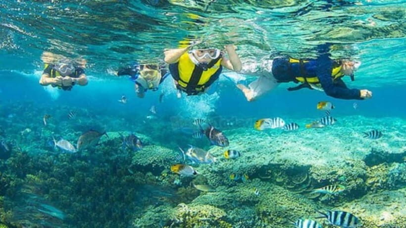 Cham Island Sightseeing & Snorkeling Day Tour from Da Nang - Snorkeling Among the Reefs