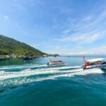 Cham Islands Snorkeling Tour by Speedboat : Hoi An/Da Nang - What’s Included & What’s Not
