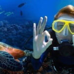 Cham Islands: Speedboat Snorkeling Day Trip from Hoi An - What to Expect from the Cham Islands Snorkeling Tour