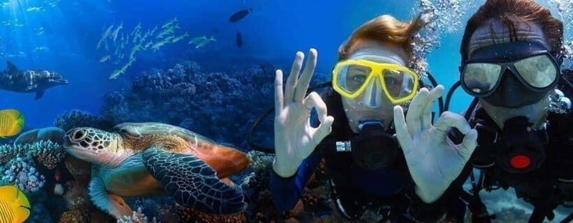 Cham Islands: Speedboat Snorkeling Day Trip from Hoi An - What to Expect from the Cham Islands Snorkeling Tour
