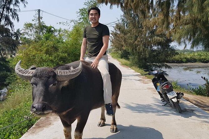 CHAN MAY or TIEN SA Port to HOI AN CITY & Hoi An COUNTRYSIDE - Markets, Food, and Relaxation