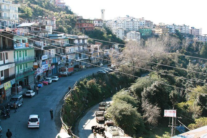 Chandigarh to Shimla Hill Station 4-Days Private Tour - Final Thoughts: Who Would Love This Tour?