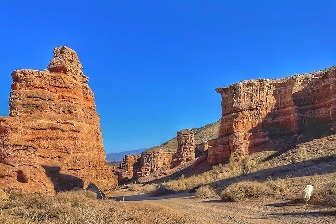Charyn Canyon Private tour - Who Will Love This Tour?