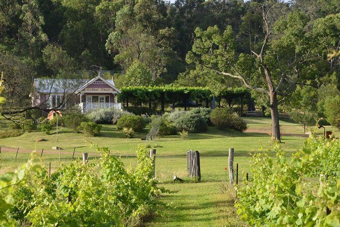 Chef-Led Hunter Valley Gourmet Food and Wine Day Tour from Sydney - Who Will Love This Tour?
