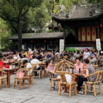 Chengdu: Baba-tea, Hotpot & Bar Local Lifestyle Tour - Transportation and Group Dynamics