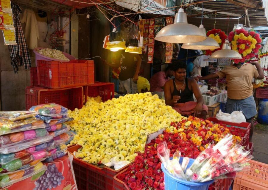 Chennai: Magical Markets Guided Walking Tour - What Can You Expect During the Tour?