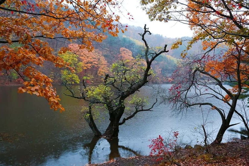 Cheongsong UNESCO GEO Park Hike From Andong - The Experience Provider: K-Local Tour