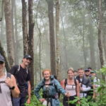 Chiang Mai: 1-Day Trekking Experience to Village & Waterfall - The Itinerary in Detail
