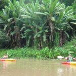 Chiang Mai: 15 km Leisure River Kayaking at Mae Ngat forest - What Travelers Say