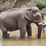 Chiang Mai: 2 Days 1 Night Experience Trek in National Park - The Value of the Experience
