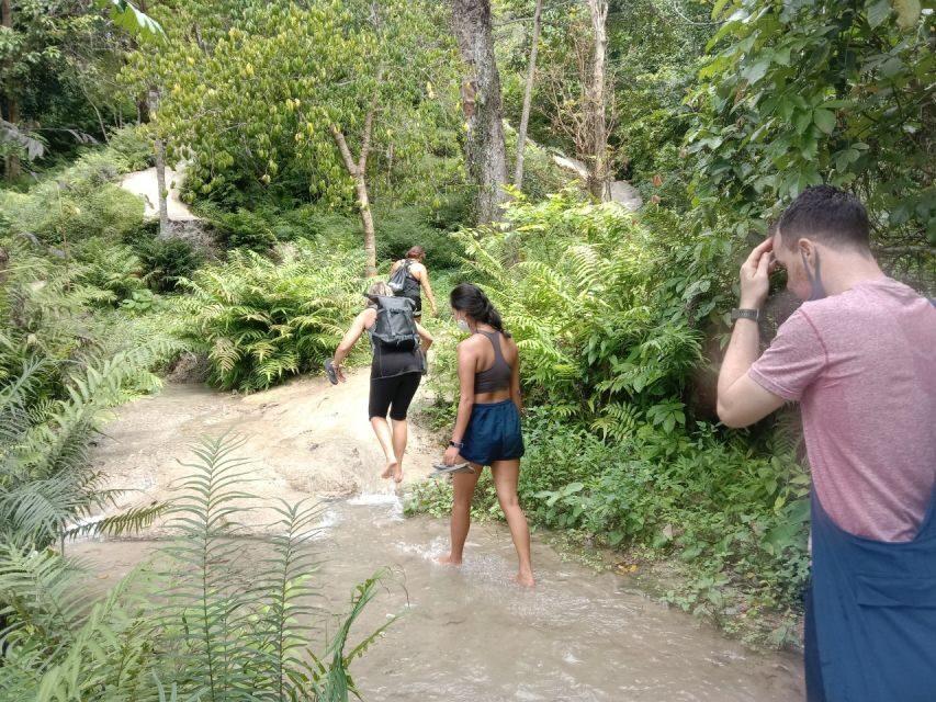 Chiang Mai: 22 km XC Mountain Biking from Sticky Waterfall - Who Will Love This Tour?