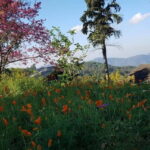 Chiang Mai: 3-Day Chiang Dao Mountains & Local Villages Tour - What’s Included and What’s Not