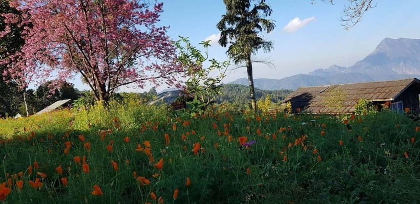 Chiang Mai: 3-Day Chiang Dao Mountains & Local Villages Tour - What’s Included and What’s Not