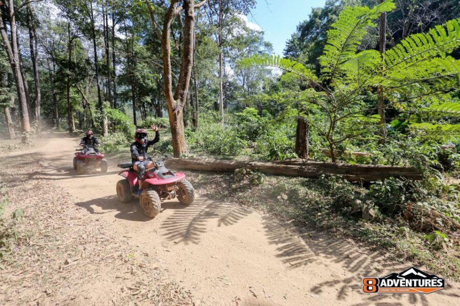 Chiang Mai: 3-Hour ATV Quad Biking Jungle Adventure - What Travelers Say