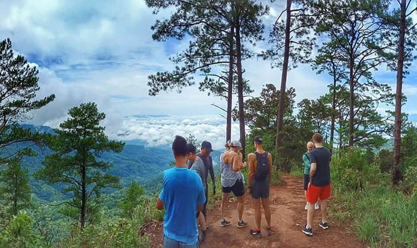 Chiang Mai: 7-Hour Doi Suthep National Park Summit Hiking - The Lunch and Views
