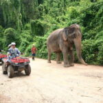 Chiang Mai : ATV Tour + Trekking - What’s Included and What to Prepare