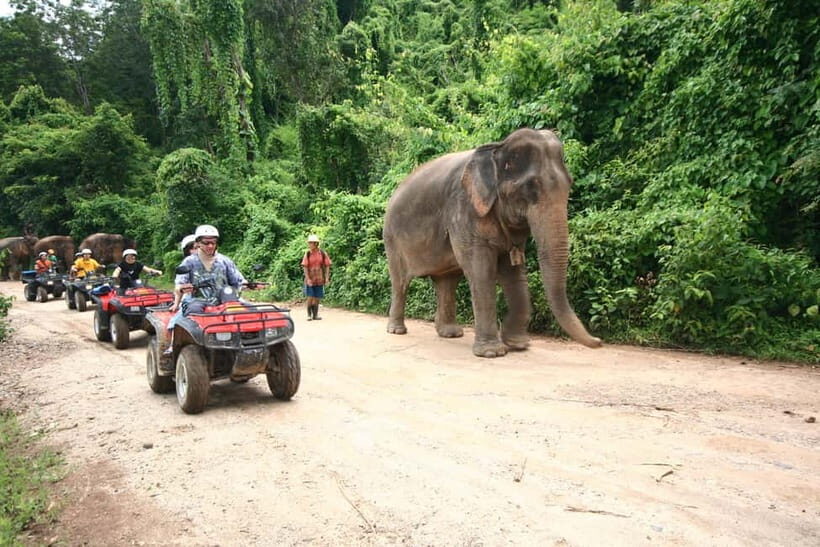 Chiang Mai : ATV Tour + Trekking - What’s Included and What to Prepare