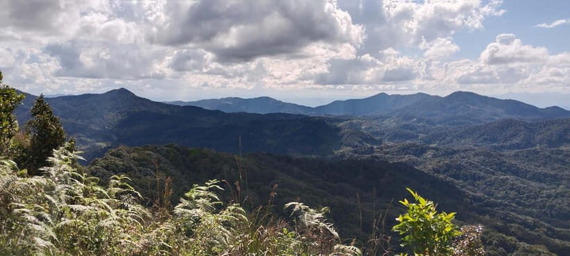 Chiang Mai Authentic Trekking - Approaching the Village: The Gateway to Nature