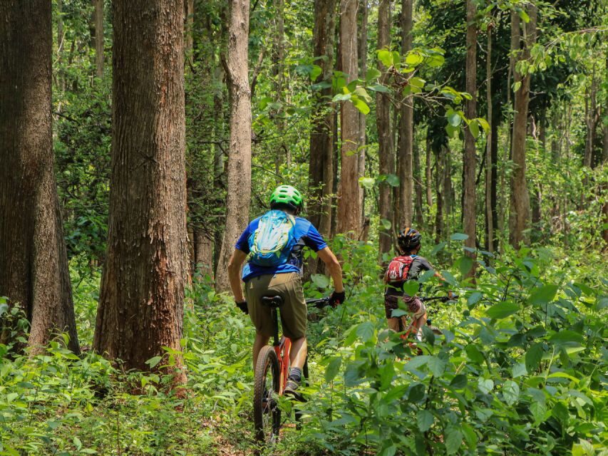 Chiang Mai: Boat Ride and Cycling Tour to Sticky Waterfall - What Travelers Say