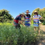 Chiang Mai : Cook in Farm, Market tour & Go by a Local Train - Who Should Consider This Tour?