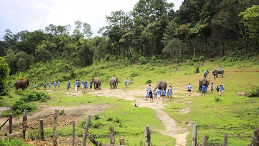 Chiang Mai: Doi Inthanon and Elephant Sanctuary Tour & Hike - Who Will Love This Tour?