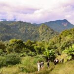 Chiang Mai: Doi Inthanon Highlights Small Group Tour - The Value of the Tour