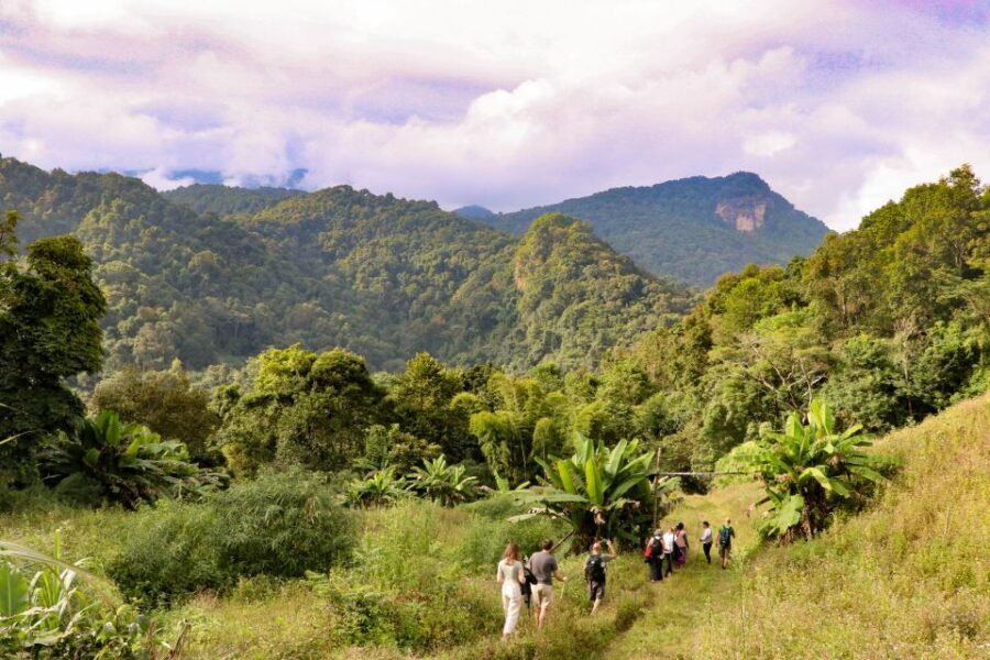 Chiang Mai: Doi Inthanon Highlights Small Group Tour - The Value of the Tour