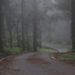 Chiang Mai: Doi Inthanon Hike, Coffee, and Tree Planting - What to Expect from Your Day