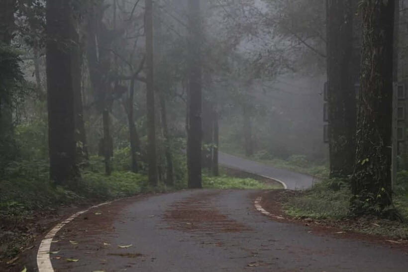Chiang Mai: Doi Inthanon Hike, Coffee, and Tree Planting - What to Expect from Your Day