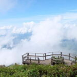 Chiang Mai: Doi Inthanon National Park and Kew Mae Pan Tour - What’s Included and Practical Tips