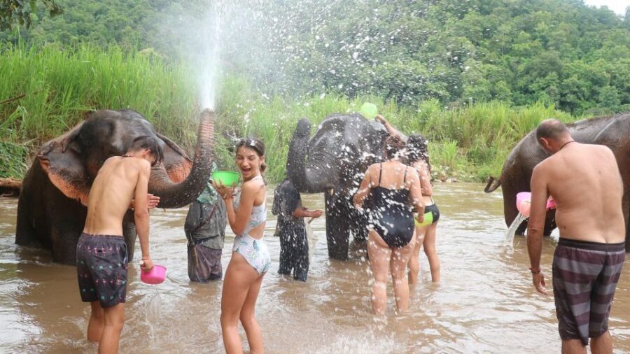 Chiang Mai: Doi Inthanon Park Hiking & Elephants Sanctuary - What To Expect on the Day