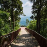 Chiang Mai: Doi Tung, Doi Mae, Salong Day Trip with Driver - A Detailed Look at the Itinerary