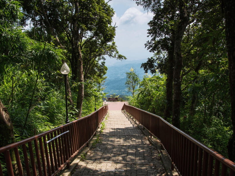 Chiang Mai: Doi Tung, Doi Mae, Salong Day Trip with Driver - A Detailed Look at the Itinerary