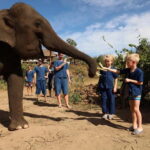 Chiang Mai: Elephant Sanctuary & Bamboo Rafting - The Value for Money