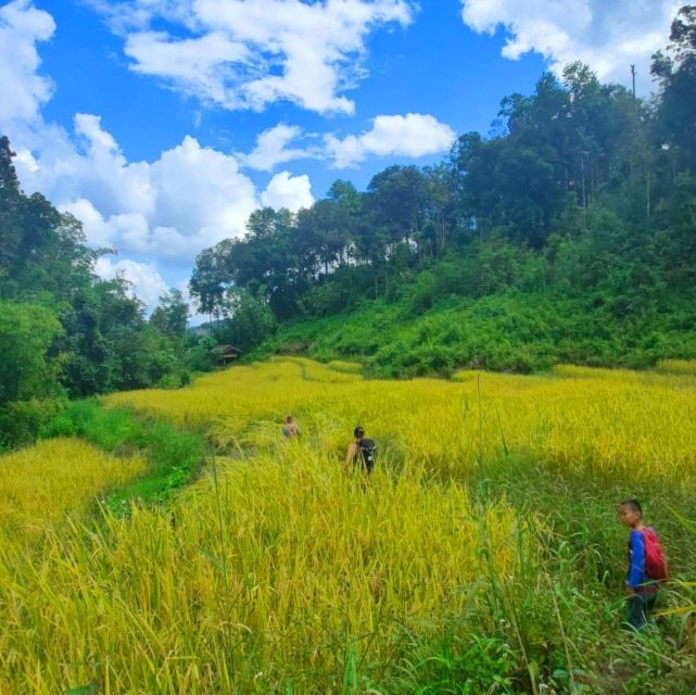Chiang Mai: Elephant Sanctuary & Jungle Trek w/ Waterfall - The Bamboo Rafting: Gentle and Scenic