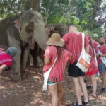 Chiang Mai Elephant Village Life: Long Neck & Bamboo Rafting - The Practical Side: What Travelers Should Know