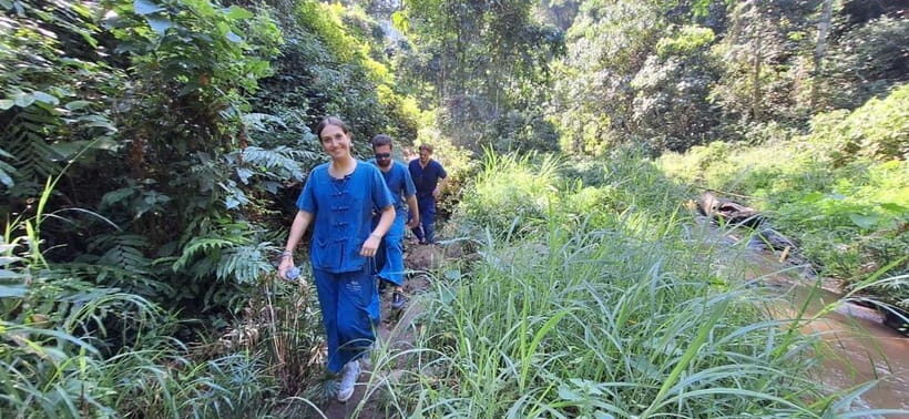 Chiang Mai: Elephants, Waterfall, and White Water Rafting - The Experiences Value
