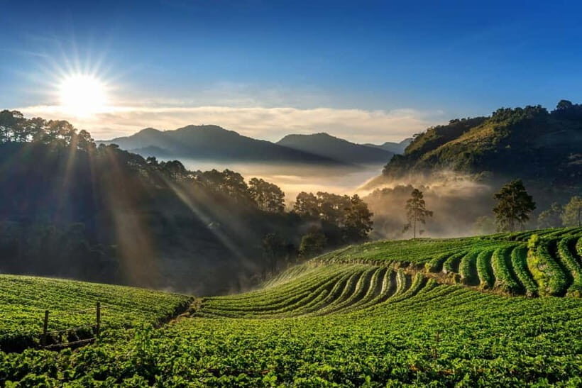 Chiang Mai: Full-Day Private Car Charter to Doi Ang Khang - Analyzing the Value: Is It Worth $70?