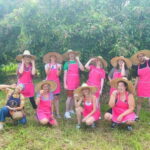 Chiang Mai: Full-Day Thai Cooking Experience at a Local Farm - Practical Details and Value