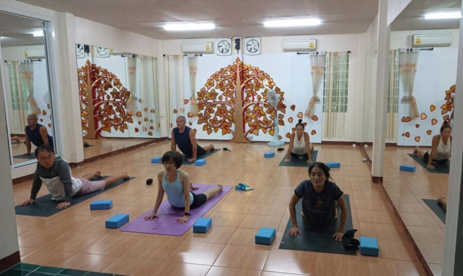 Chiang Mai: Full-Day Yoga & Meditation Experience with Lunch - Starting the Day: Mindful Movement and Meditation