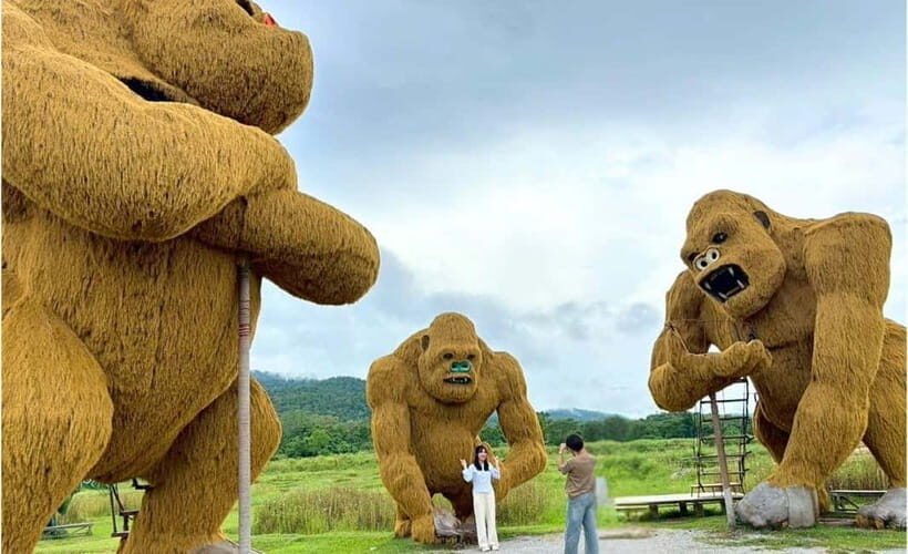 Chiang Mai: Huai Tueng Thao Half Day Tour with Lunch - Value and Booking