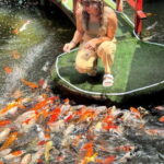 Chiang Mai: Instagrammable spots for half day - A Deep Dive into the Stops and Highlights