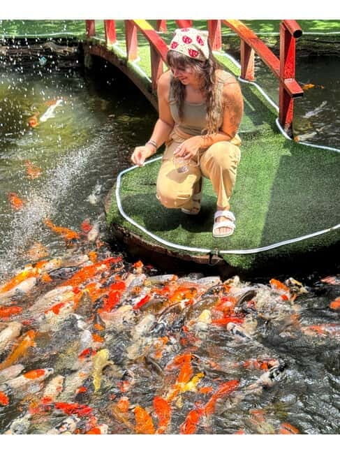Chiang Mai: Instagrammable spots for half day - A Deep Dive into the Stops and Highlights