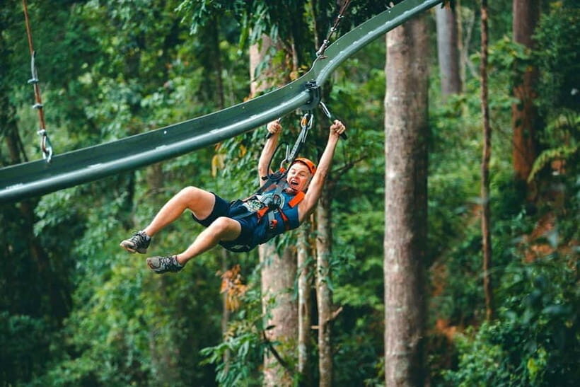 Chiang Mai: Jungle Flight Zip Line Roller Coaster - What the Reviews Say: Authentic Perspectives