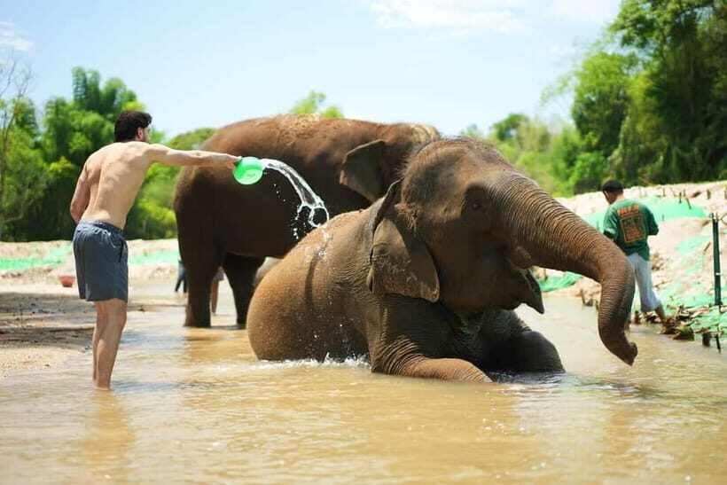 Chiang Mai: Jungle Jumbo Elephant Sanctuary with Waterfall - Discovering Chiang Mai’s Jungle Jumbo Elephant Sanctuary with Waterfall