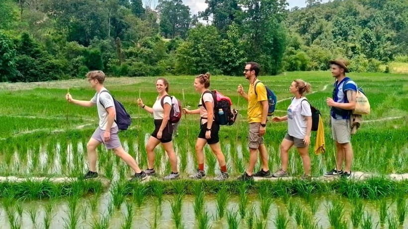 Chiang Mai: Jungle Trek, Elephants care & Bamboo Rafting - The Realities of the Experience: Benefits and Caveats