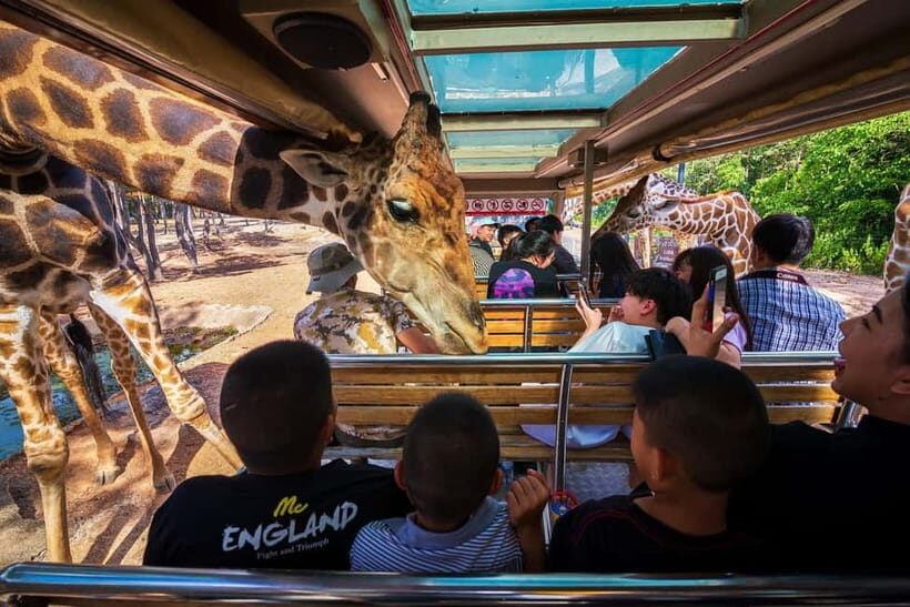 Chiang Mai Night Safari: Entry Ticket with Tram Ride - The Sum Up