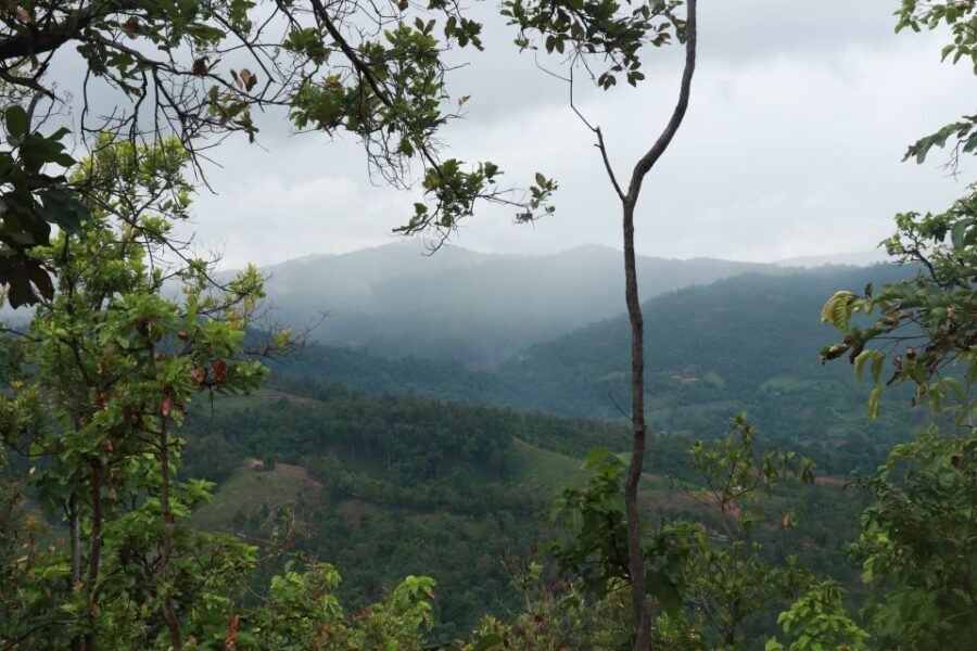 Chiang Mai: One Day Trek Sanpatong (Mae Win Area) - What’s Included and What to Prepare