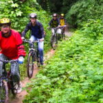 Chiang Mai: Rainforest Guided Mountain Biking Tour - Insights from Reviews